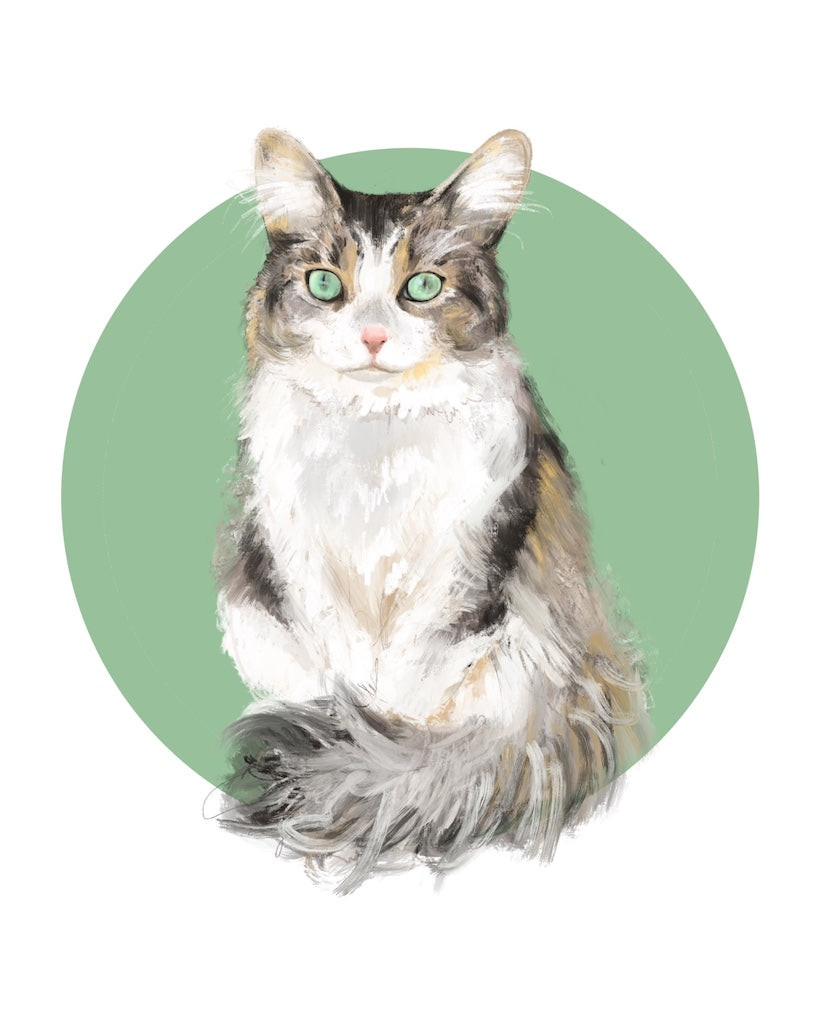 Drawing Animals in Procreate – Sktchy